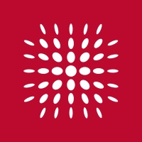 Pitch SwarmOne | Pitchfire